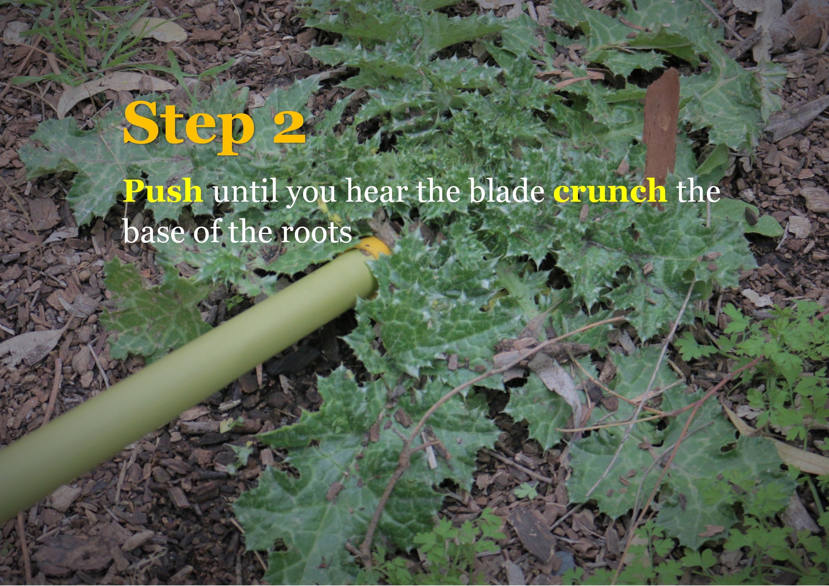 The Original Weed Slicer